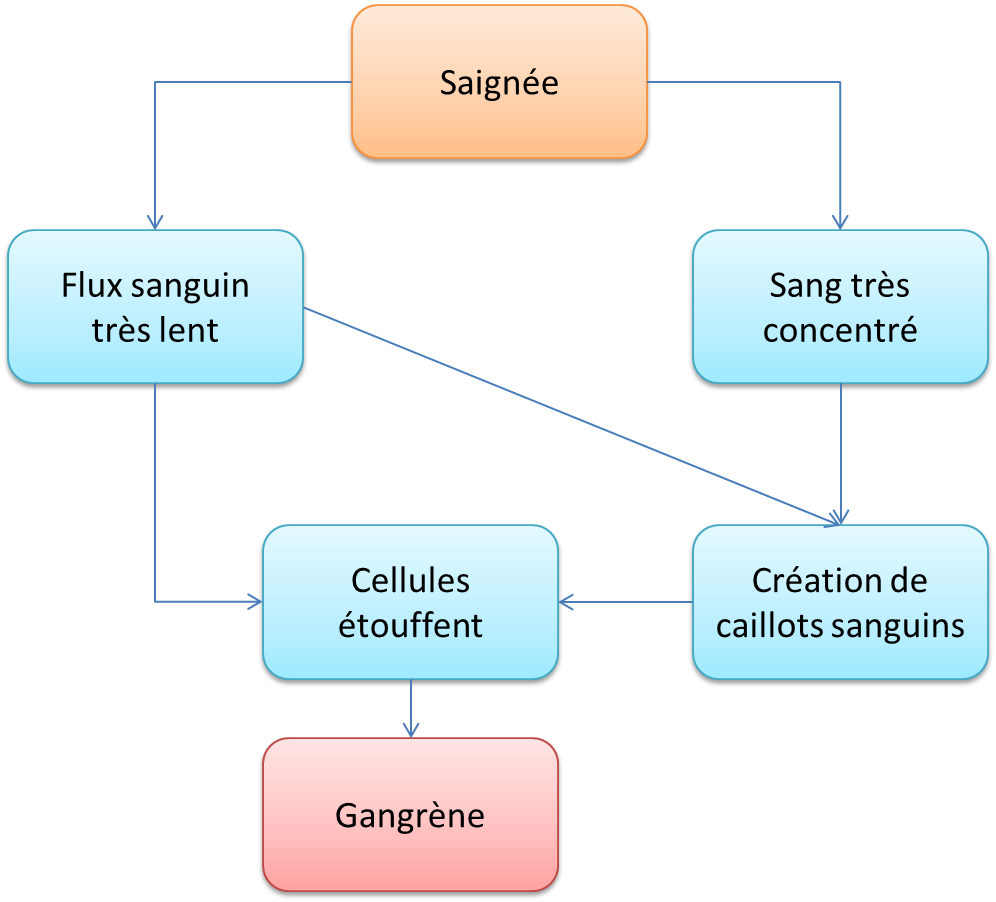 Gangr ne Au Moyen ge Repenser La M decine